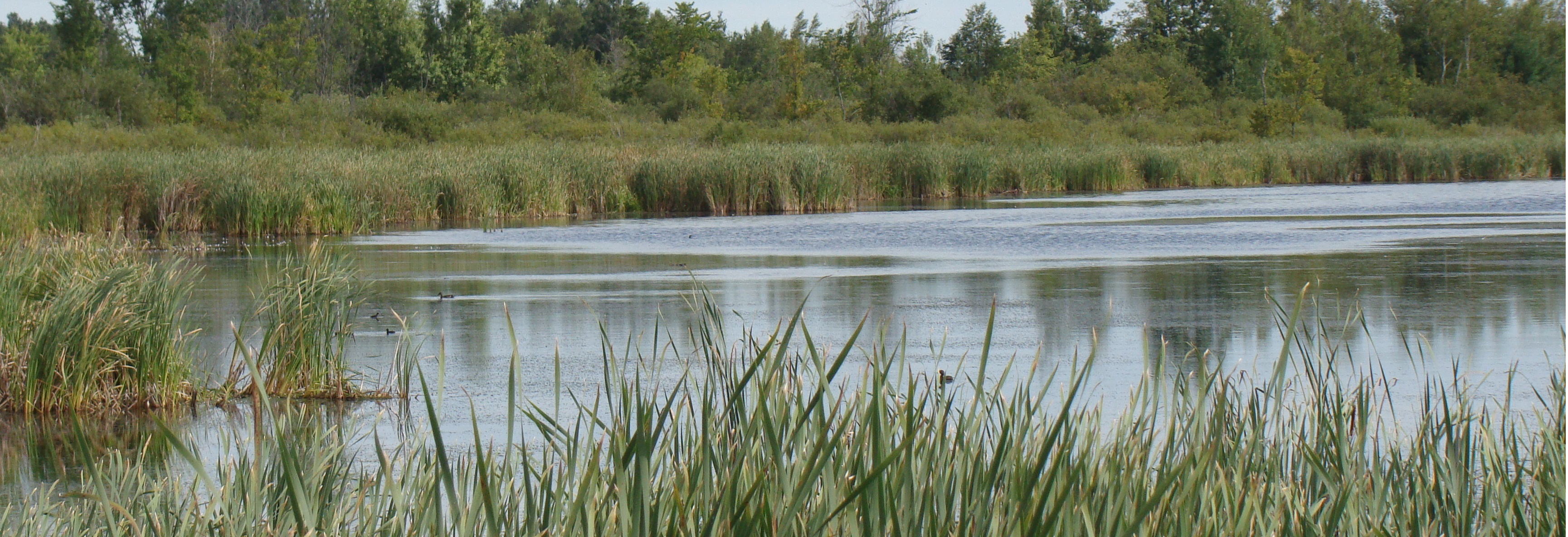 Special Waterfowl Hunting Areas - Fort Drum - iSportsman
